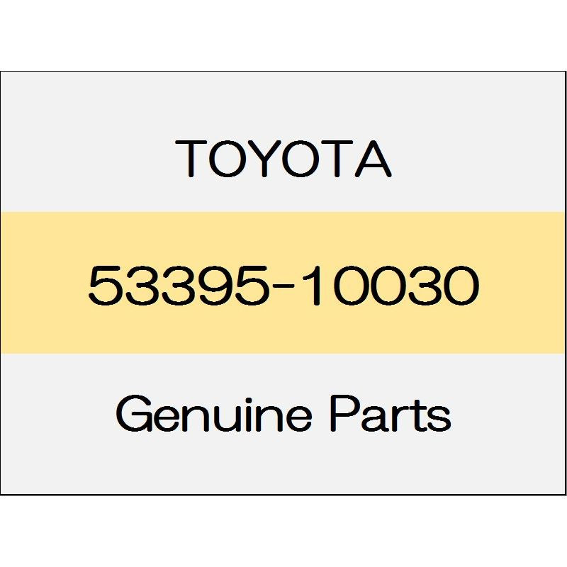 [NEW] JDM TOYOTA C-HR X10/X50 Food-to-radiator grille seal 53395-10030 ...